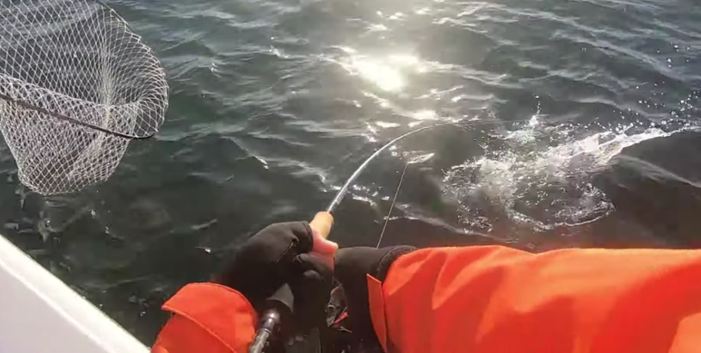 パームス ベイマティックBMTS-75M+のインプレ！サワキャス初心者におすすめ | ジギング ジャーニー